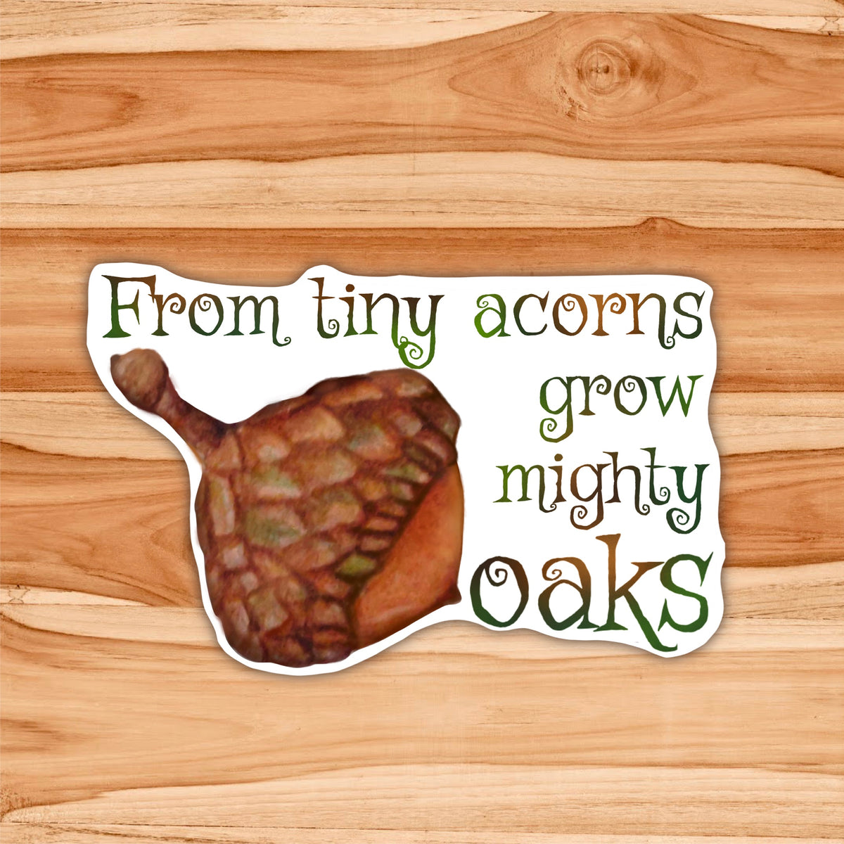 From Tiny Acorns Sticker – Sunfeather Studio