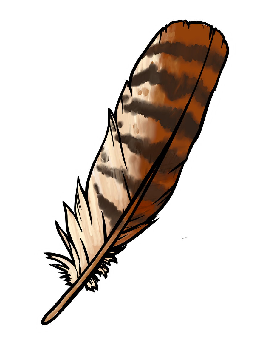 Feather - Red Tailed Hawk sticker – Sunfeather Studio